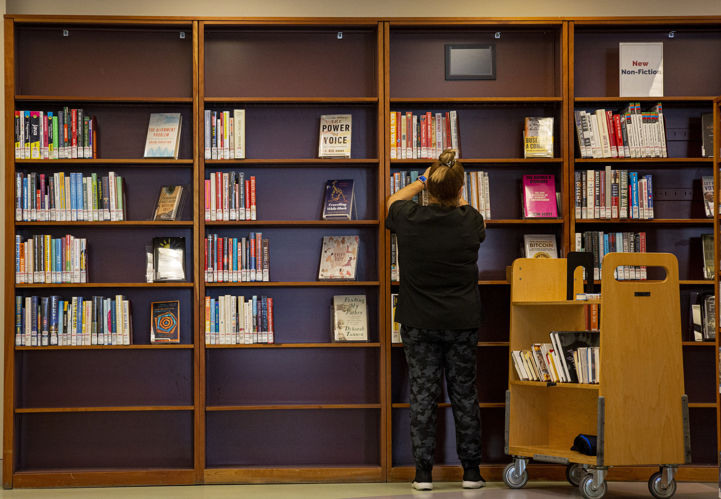 Shelf Life: Berkeley Public Library's lending goes beyond books — tools ...