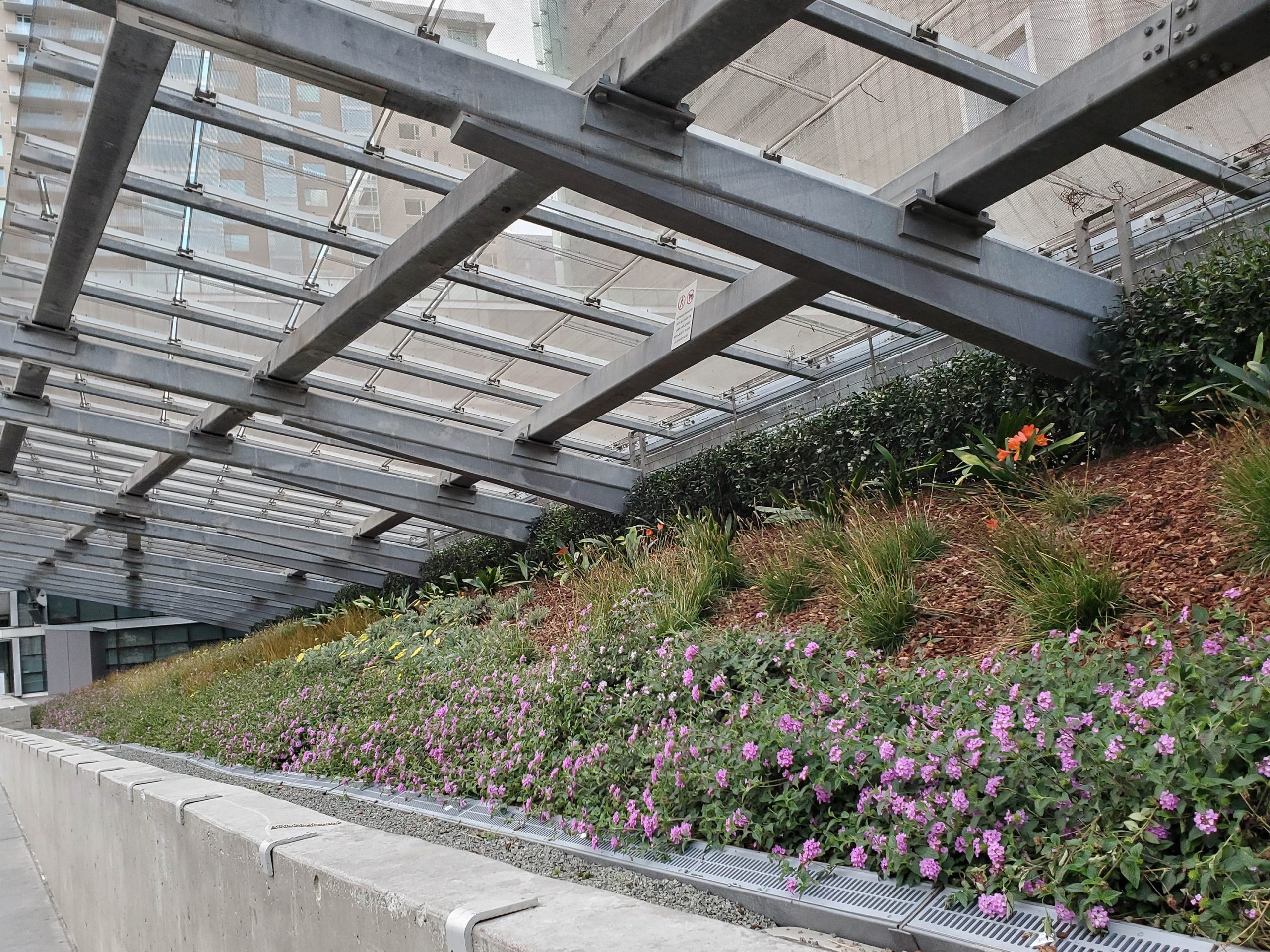 Demonstration gardens on display at newly remodeled S.F. federal ...