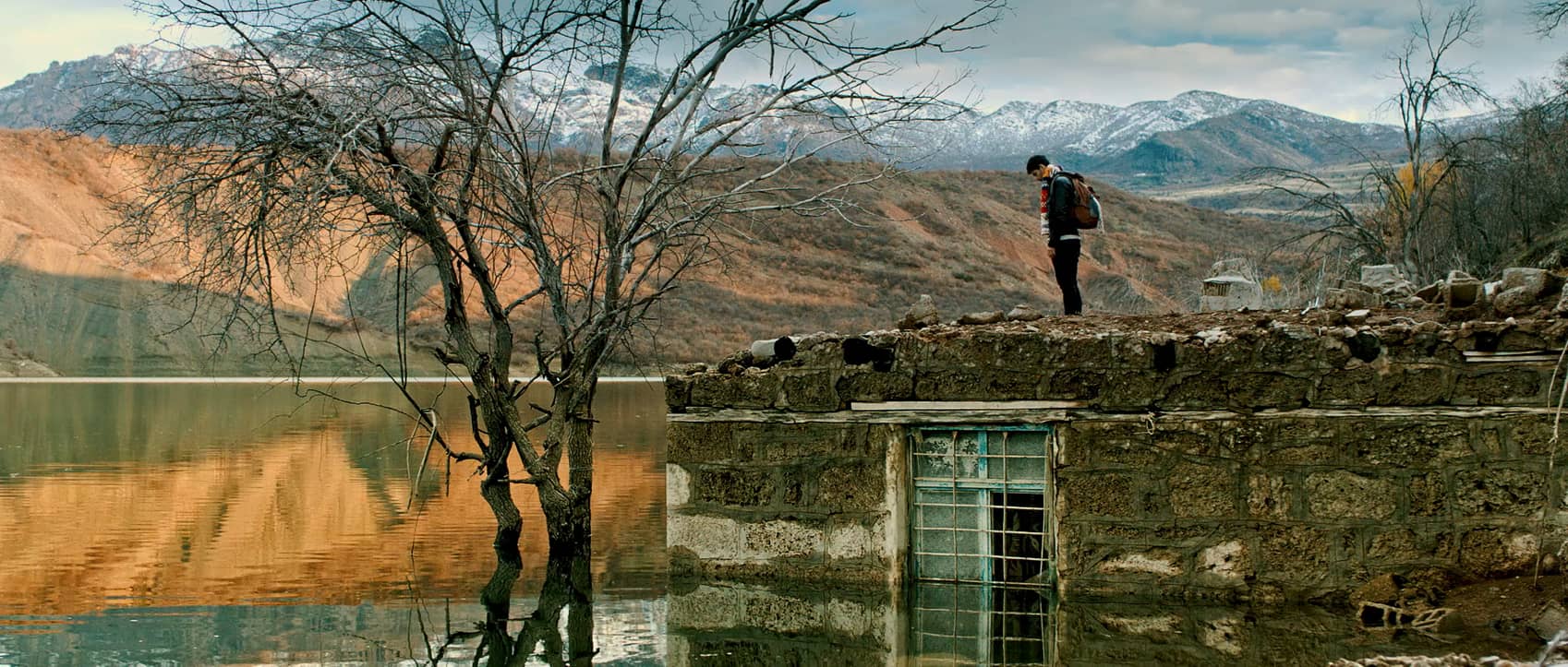 Pass the Remote: Old-school movies to relish and Kurdish films to ...