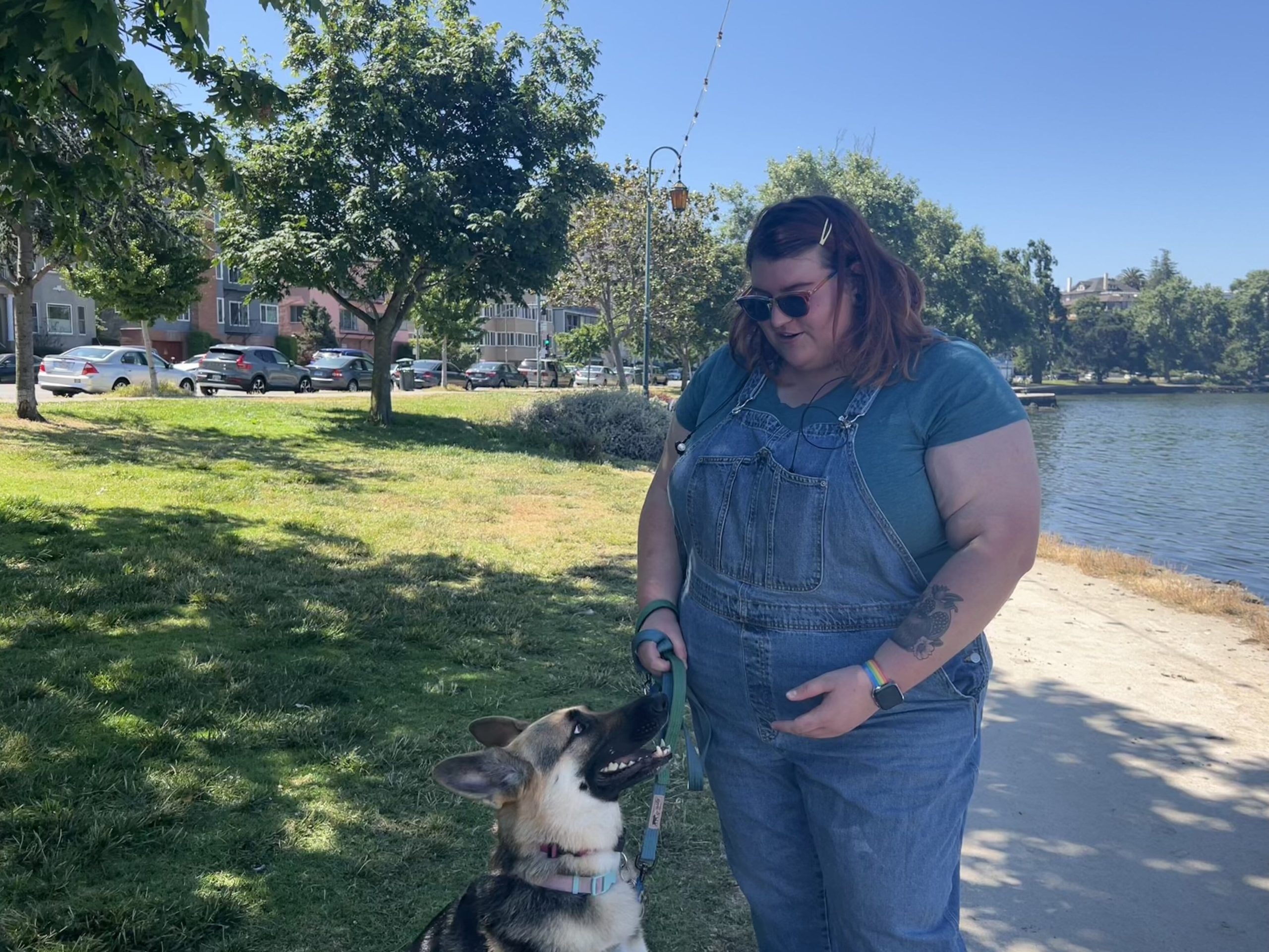 Voices of the Bay: Rowan Collins - Local News Matters