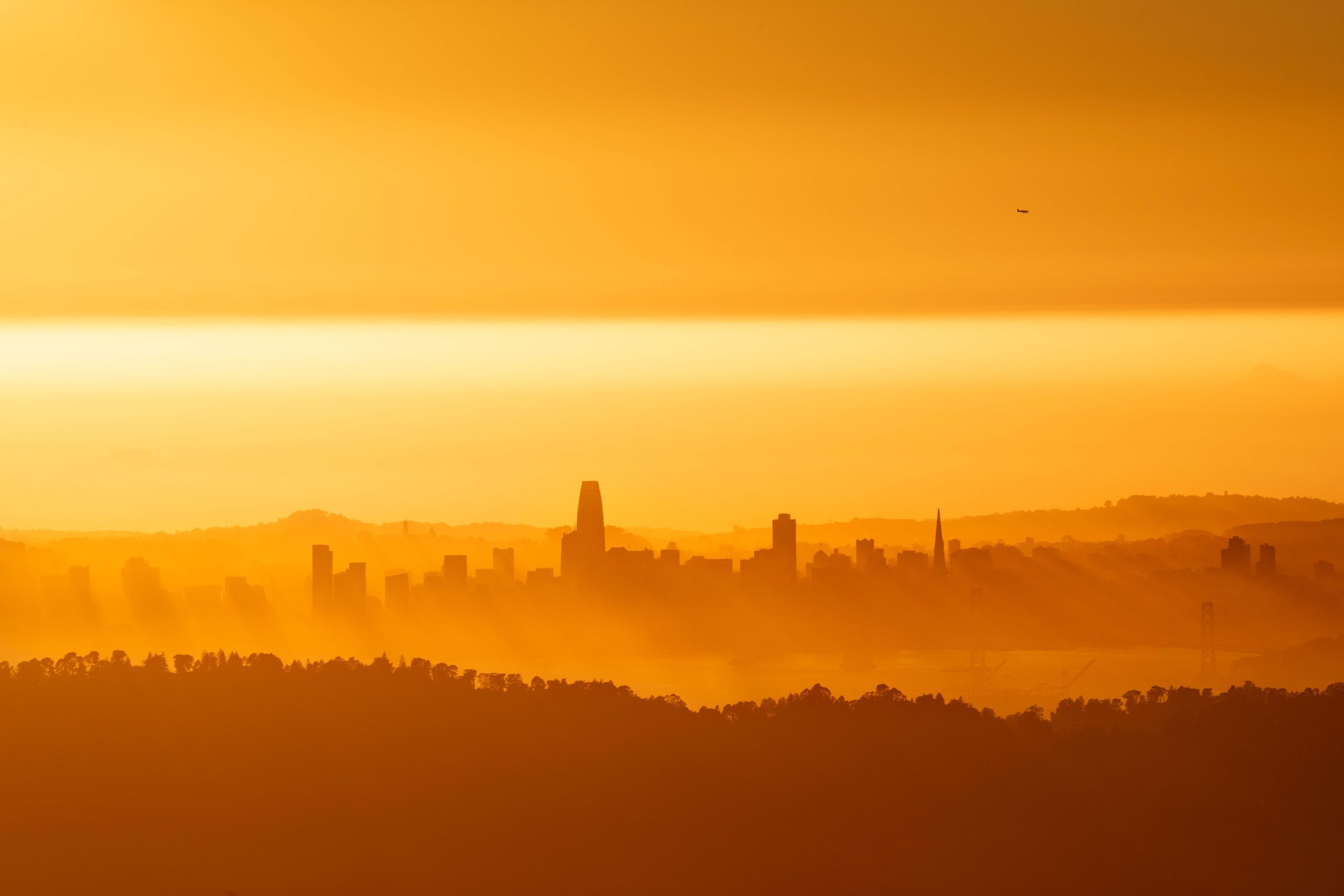 Newsletters - Local News Matters