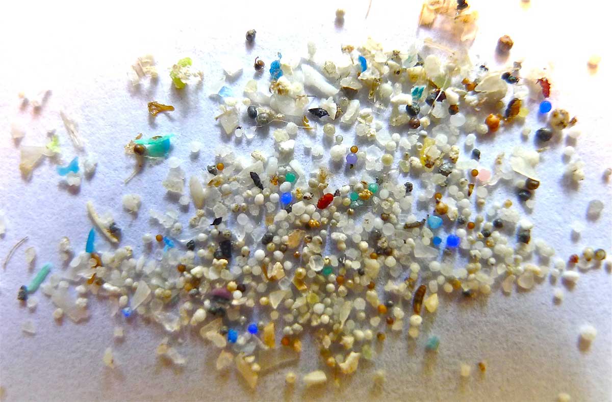 UC Santa Cruz researchers find microplastics pervasive in Monterey Bay ...