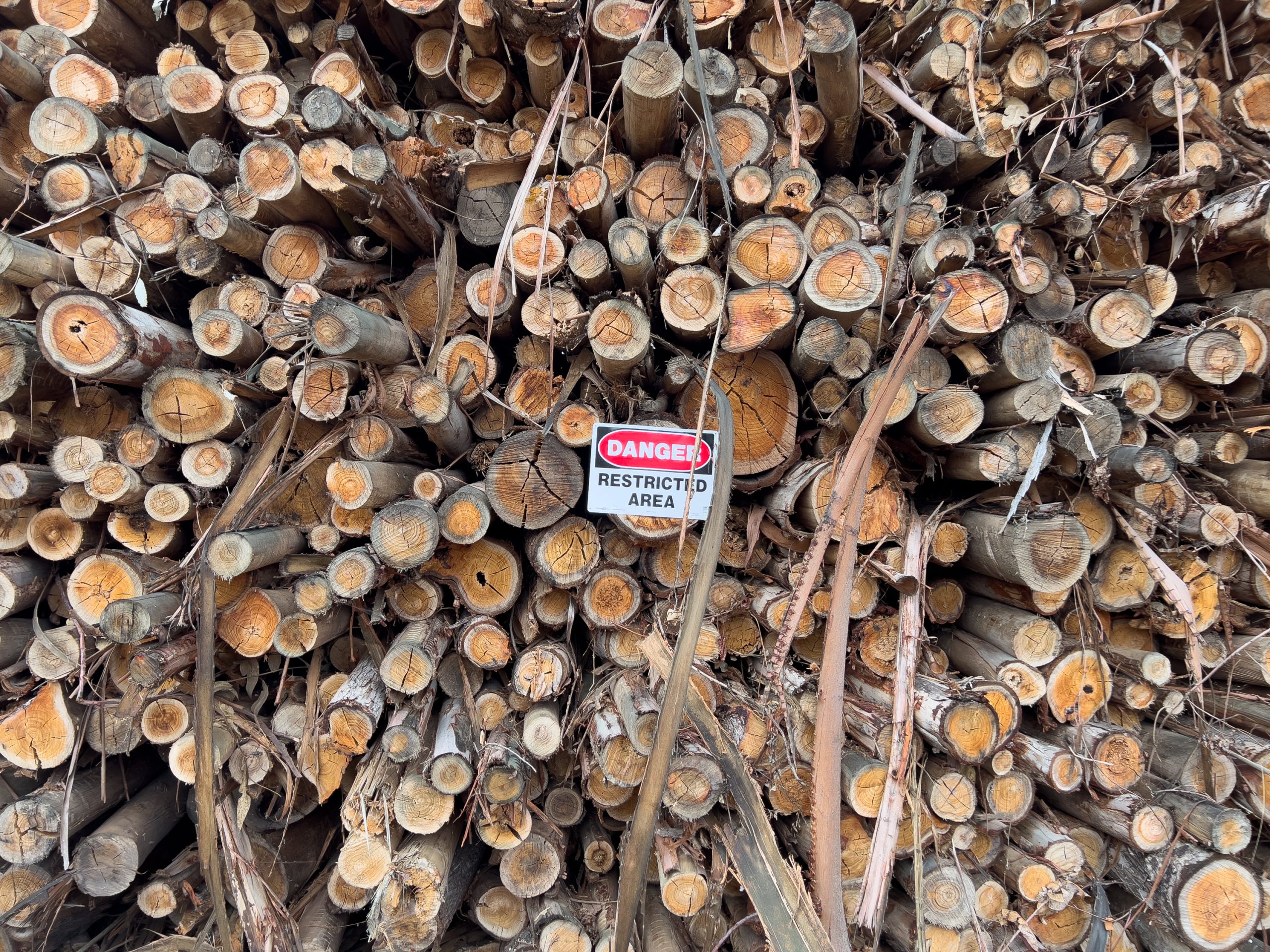 East Bay Regional Park District tackles fire-fuel reduction with ...