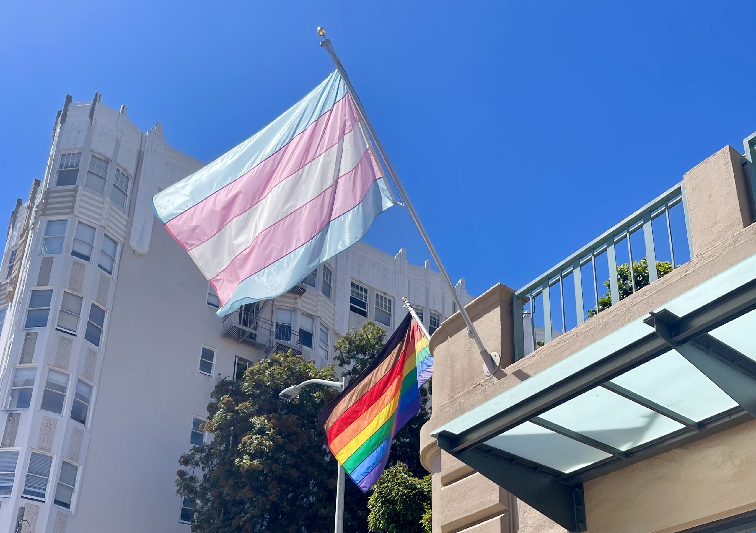 Celebrate Transgender Day of Visibility in the Bay Area - Local News ...
