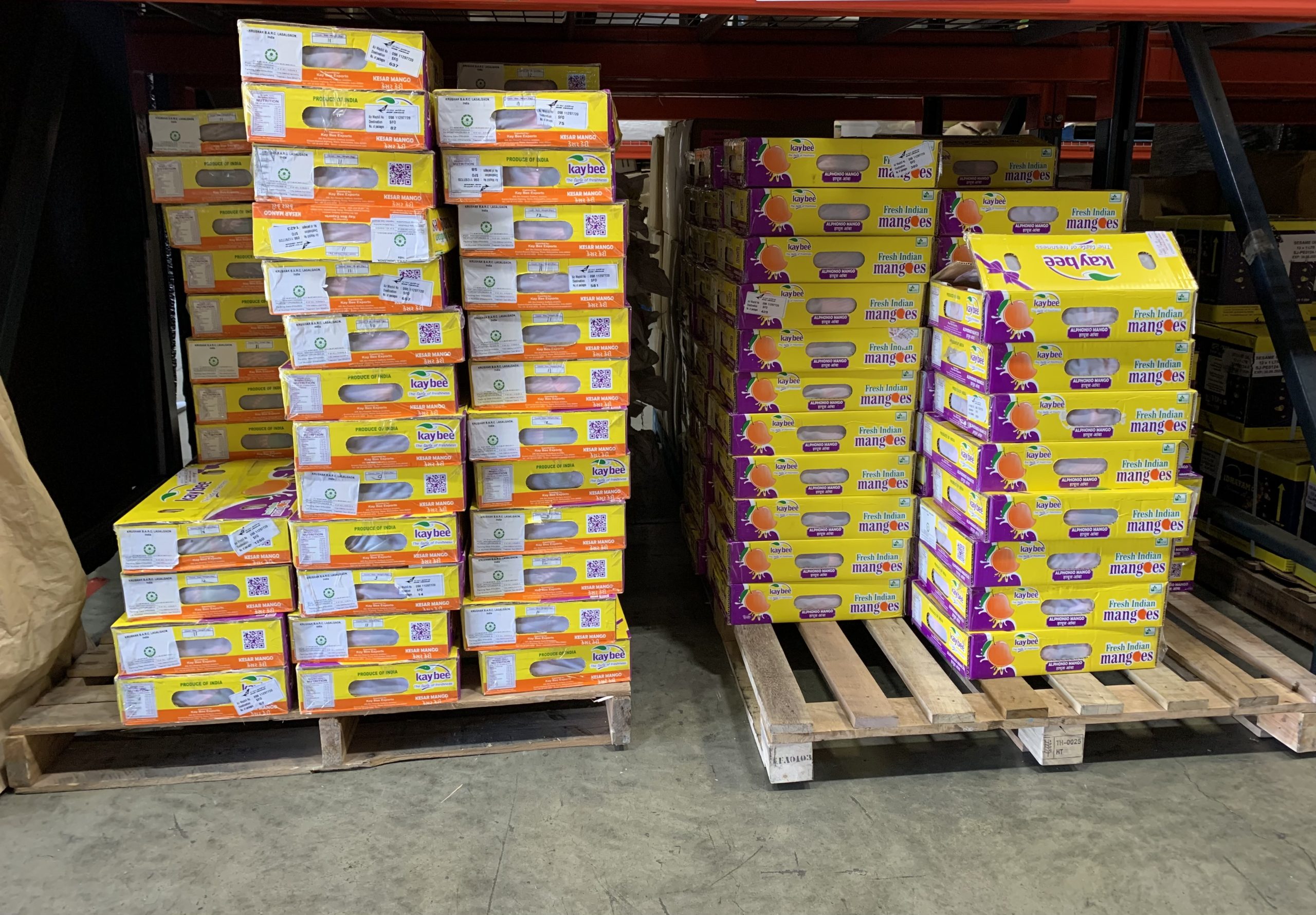 It’s mango mania in the Bay Area and beyond for Indian Americans ...