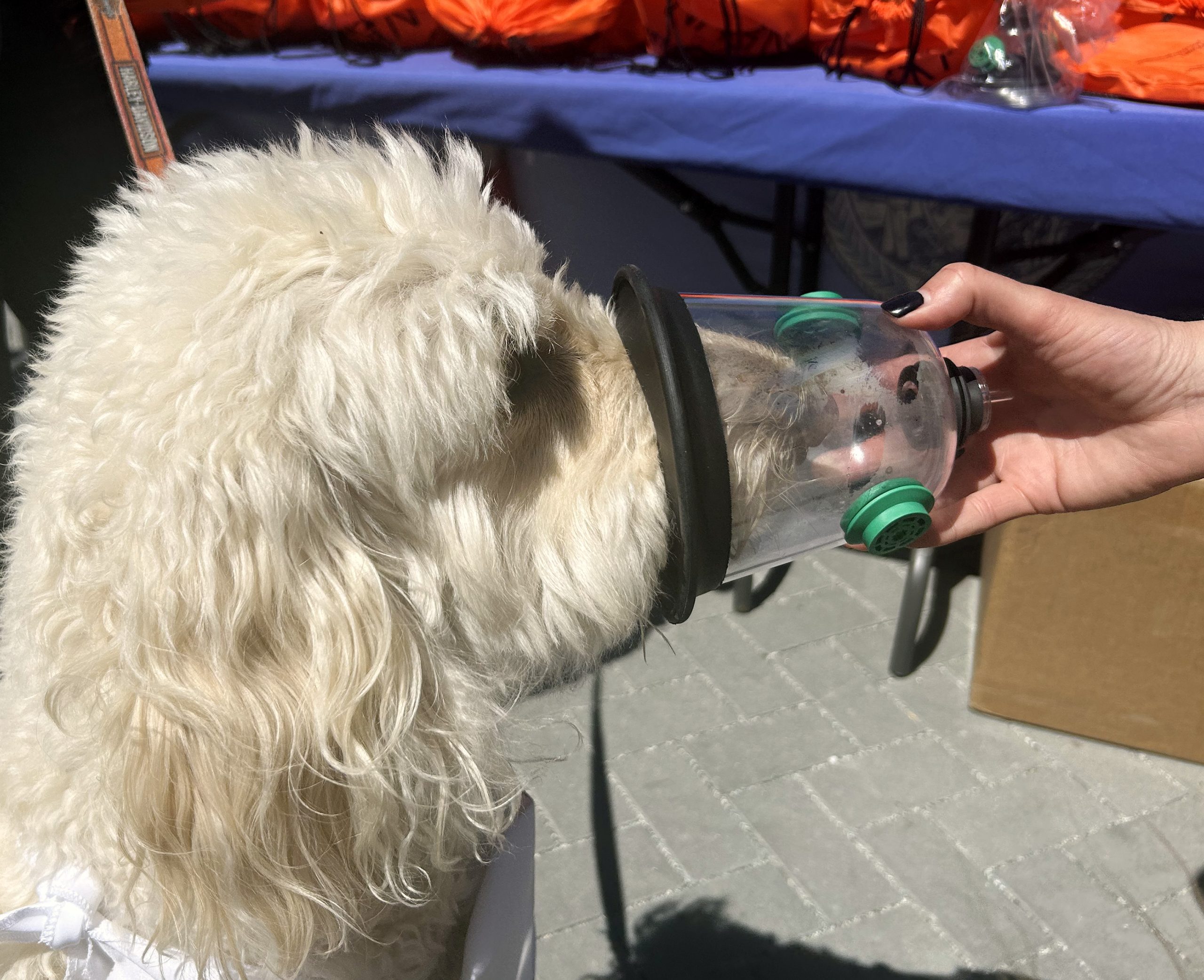San Francisco Fire Department receives ample supply of oxygen masks for ...