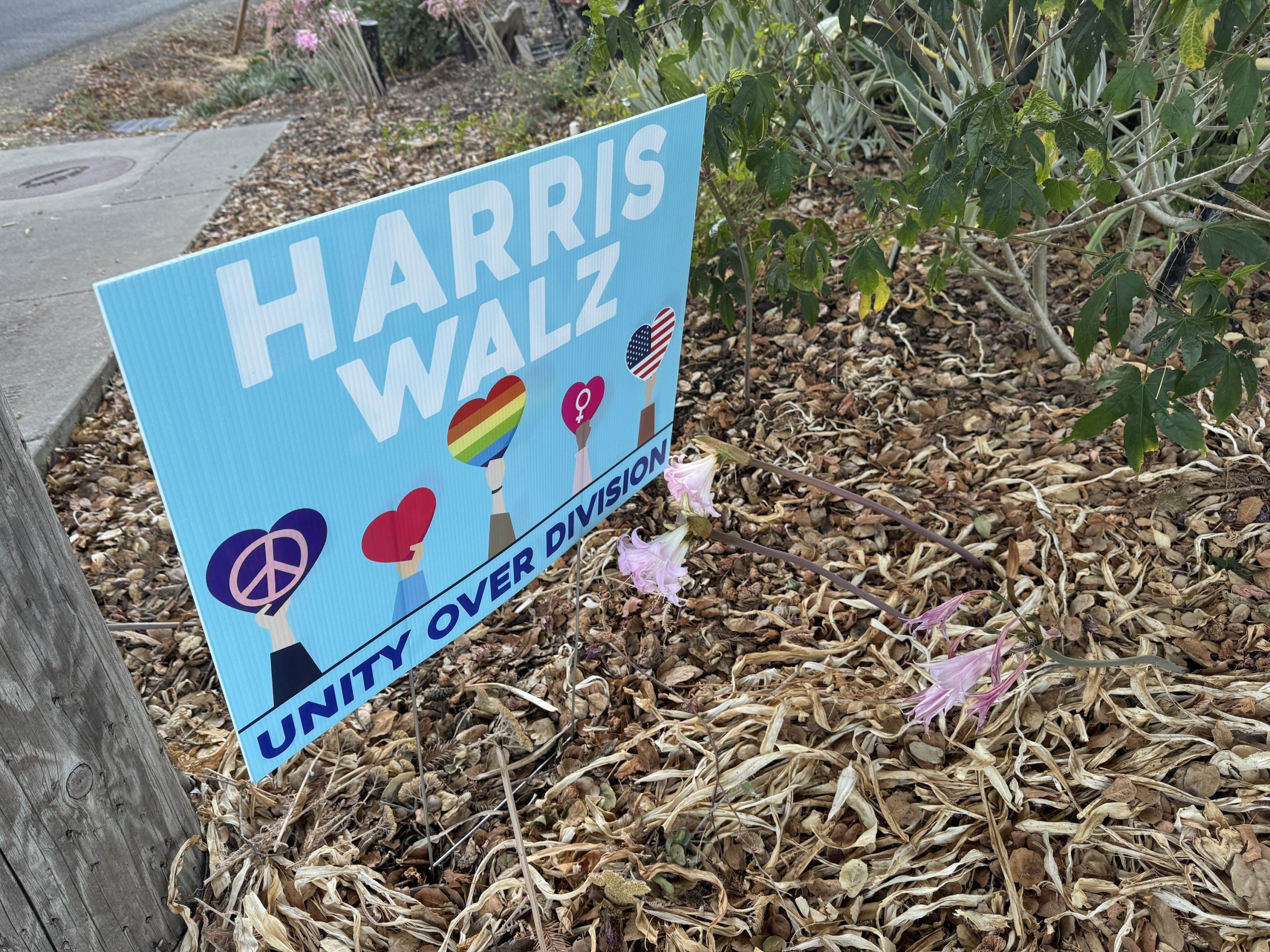 Those political yard signs don’t belong in the recycling bin, Santa ...