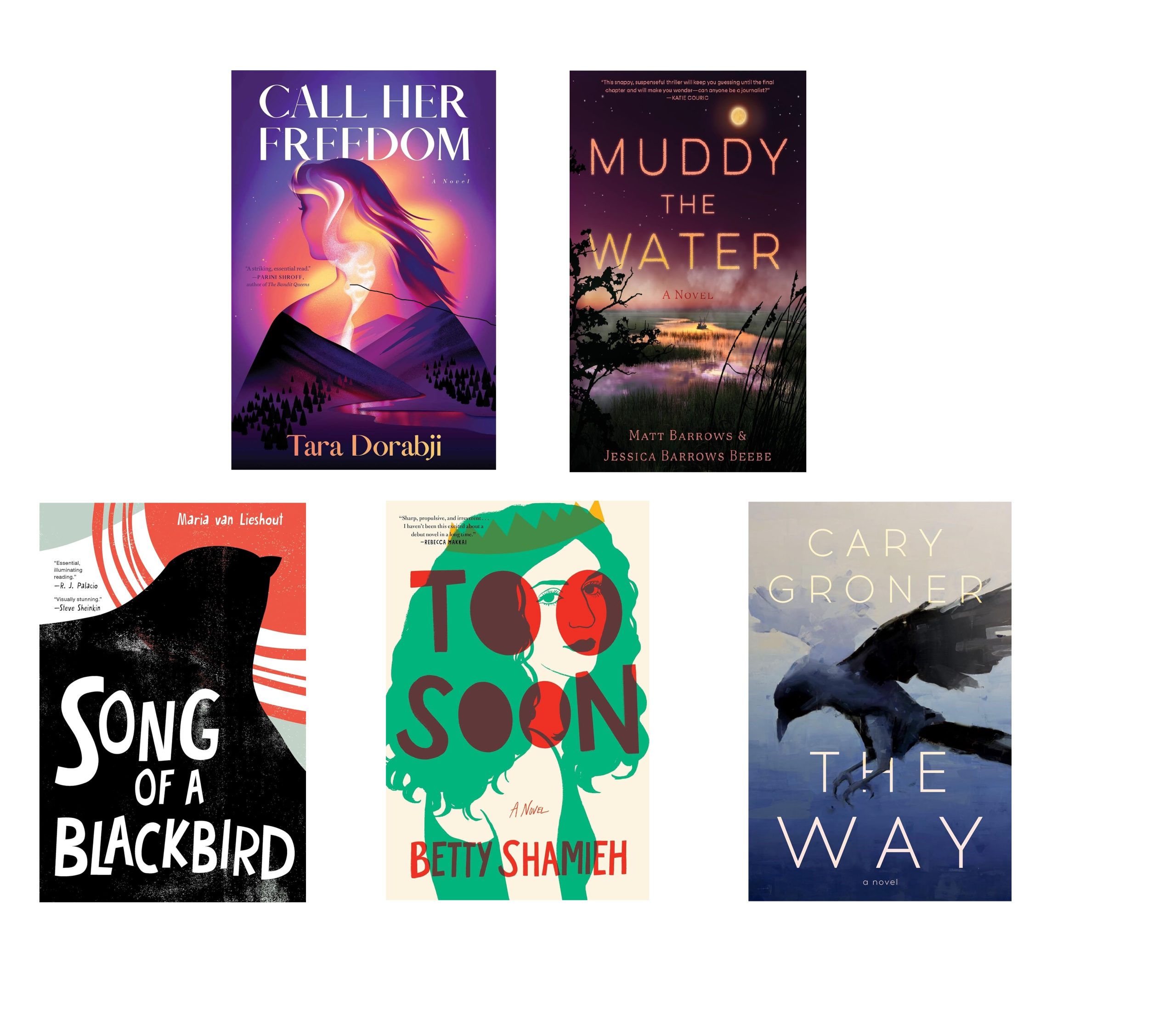 Bay City Books: New books from Bay Area authors – January 2025 - Local ...